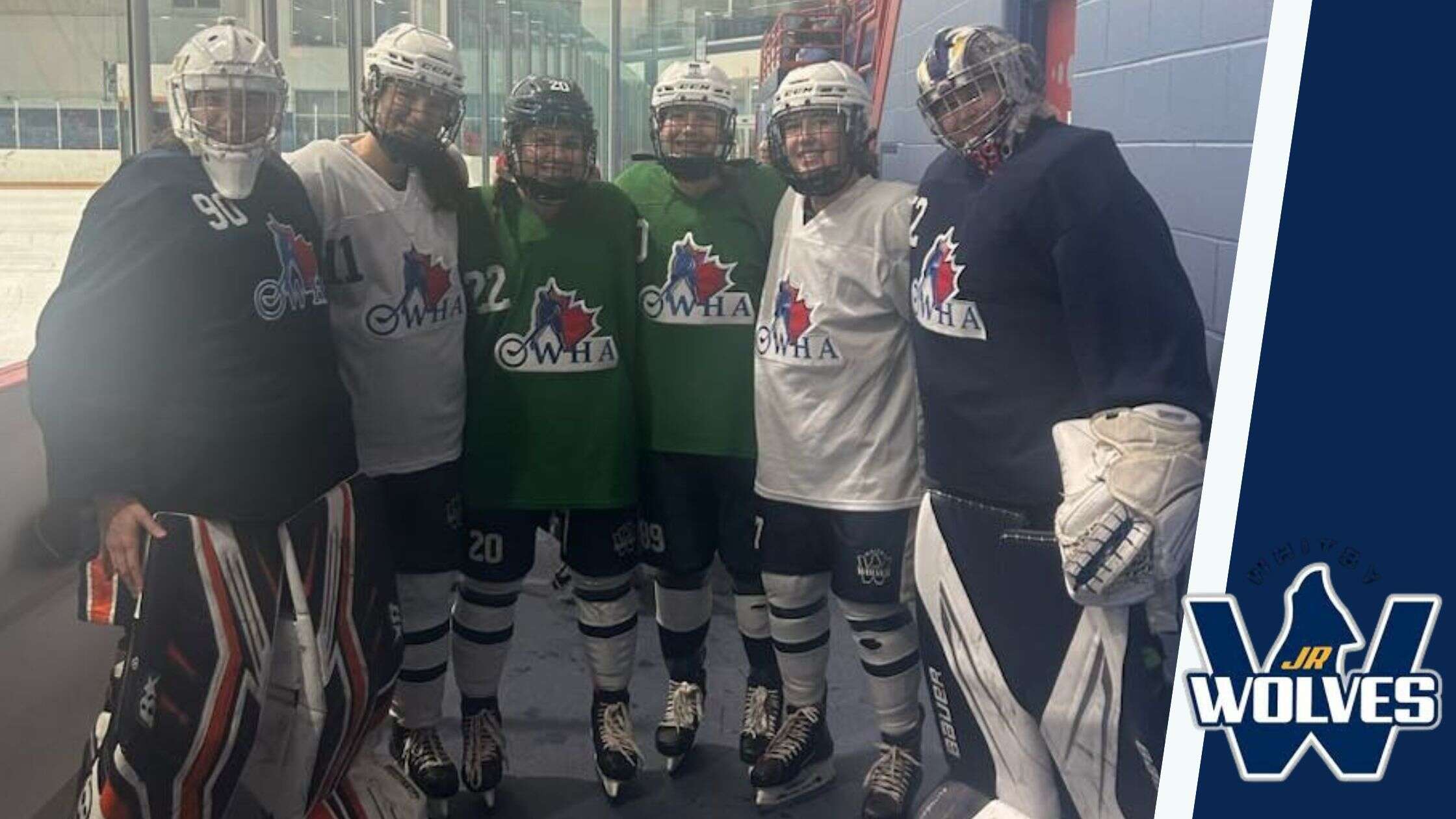 High Performance > News > Six Players Represent the Jr Wolves at the ...
